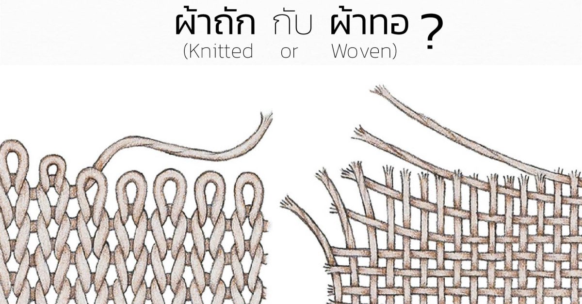 Knitted or Woven - บริษัท ทอฟฟี่ บูติก จำกัด